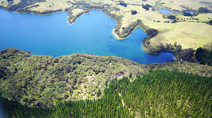 Lake Rototoa – Te Rau Pūriri